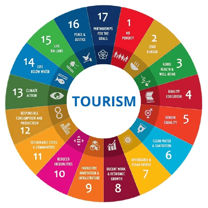 Meet Our Team at Wise Steps Group | Exceptional Solutions