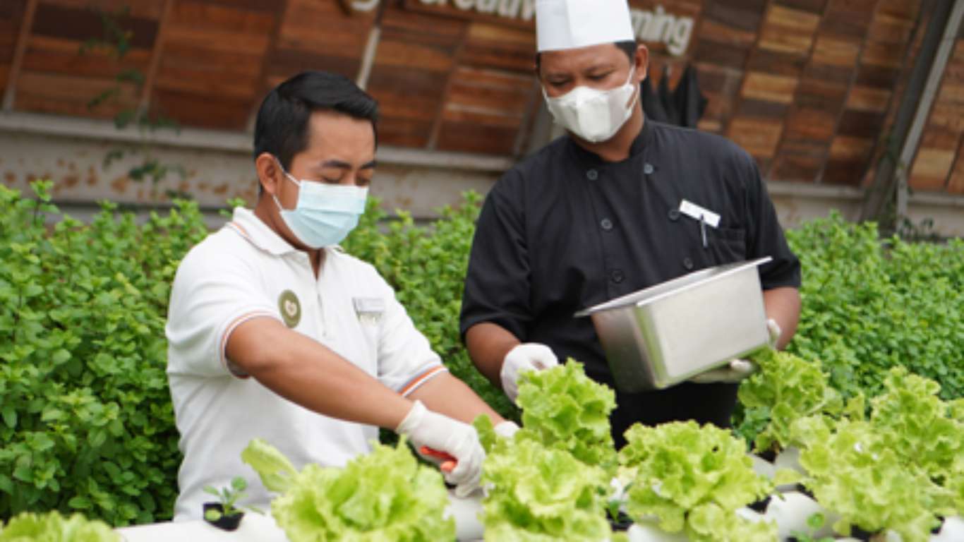 6 Stages of Tourism Area Life Cycle (TALC) for Sustainable Growth